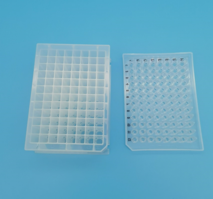 Work Shaped Deep Well PCR Plates Round Bottom Transparent 96 Well Plate
